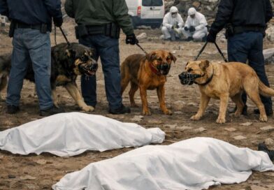 ¡Atacados por tres perros hambrientos hombre y mujer murieron en el ...